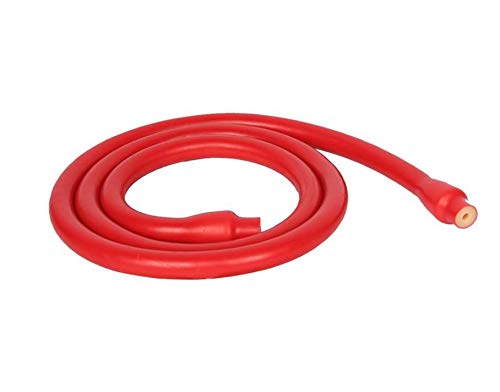 Buy Everlast Latex Resistance Tube Red 30LB Online @ ₹849 from ShopClues