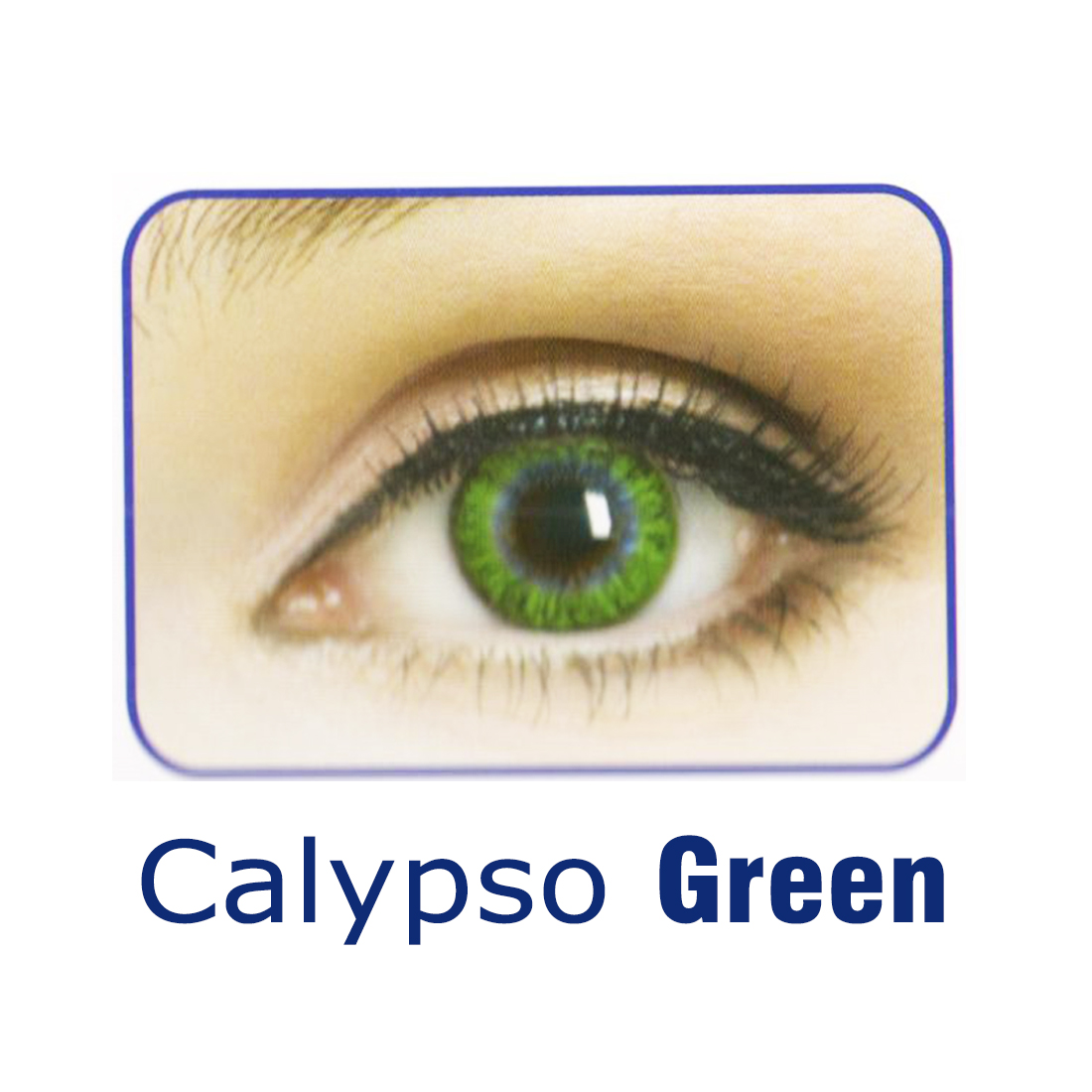 Buy Celebration Color507 Yearly disposable Colored Lenses With ...