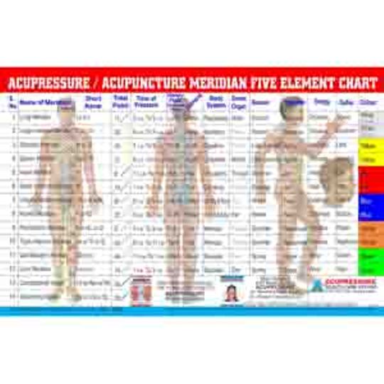 Buy Meridian Five Element Chart-Panch Tatvah Online @ ₹100 from ShopClues