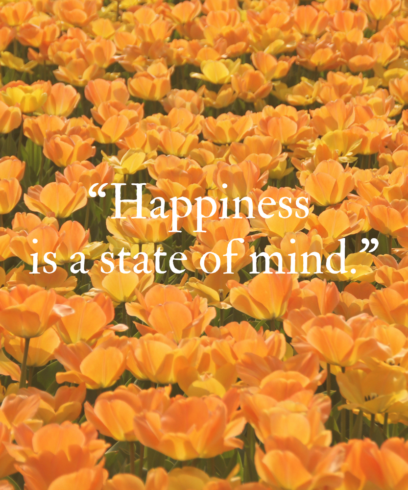 Buy happiness is a state of mind poster|300 GSM HD Paper Print |Sticker ...