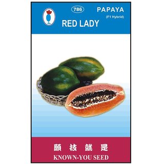Buy RED LADY PAPAYA 786 F1 HYBRID TAIWAN PACK OF 200 SEEDS Online @ ₹190 from ShopClues