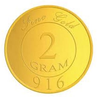Buy Guarantee Ornament House 2g pure Gold Coin hallmarked 22kt 916 Gold ...