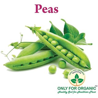 Buy Peas Matar vegetable best quality seed 1 pack 60 seeds Online ...