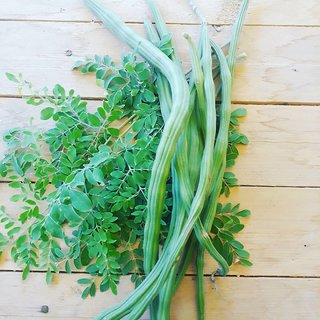 Buy Moringa Drumstick Sehjan Vegetables Hybrid Seeds - 30 Seeds Pack ...