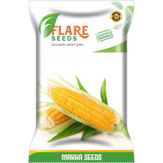 Buy MAIZE SEEDS - MAKKA 50 SEEDS PACK Online @ ₹199 from ShopClues