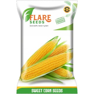 Buy SWEET CORN SEEDS - 20 SEEDS PACK Online - Get 34% Off