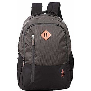 Buy Skybags Arthur (New) Laptop Backpack Black (PLBPARTHGRY) Online @ ₹1100 from ShopClues