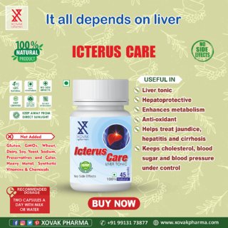 Buy Ayurvedic Icterus Care For Liver Tonic And Liver Protection 100 ...