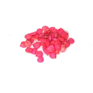 Buy FAABIIE F1 Hybrid Yellow Capsicum, Shimla Mirch Vegetable Plant ...