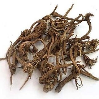 Buy Akkalkada Jad / Anacyclus Pyrethrum Root / Akkalkara / Akallaka ...