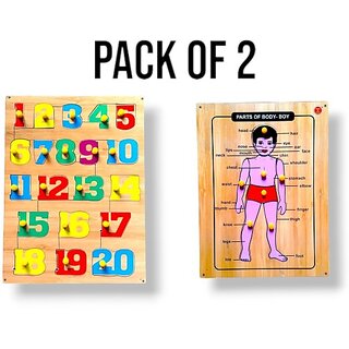 Buy VSINDIA Combo 1 to 20 counting numbers with Parts of Body Picture ...