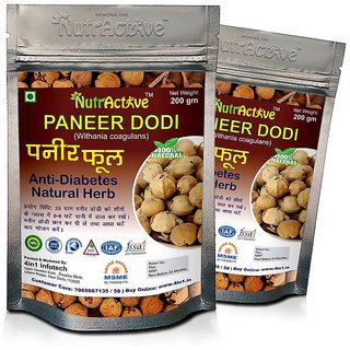 Buy Nutractive Paneer Dodi / Indian Rennet / Paneer Doda / Withania ...