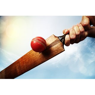 Buy cricket sticker poster| |Sticker Paper Poster, 12x18 Inch Online ...